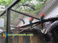Parrot Aviary Mesh | Zoo Mesh Supplier-Hengyi