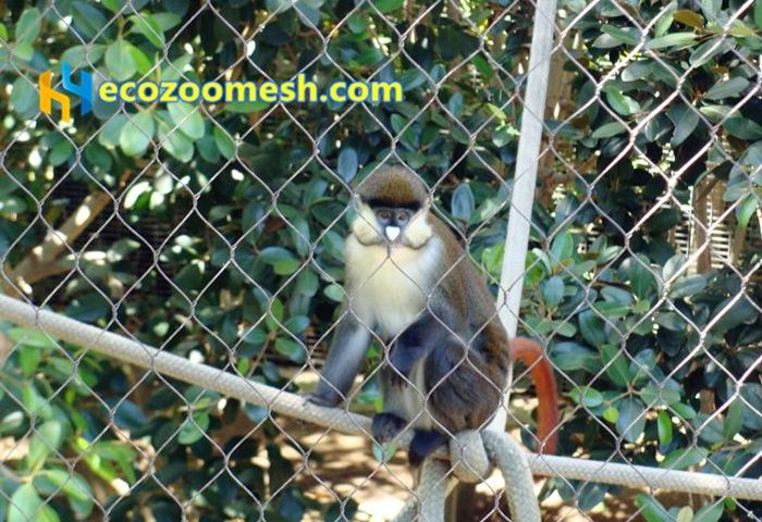 Monkey cage mesh & monkey enclosure for sale, monkey fence netting