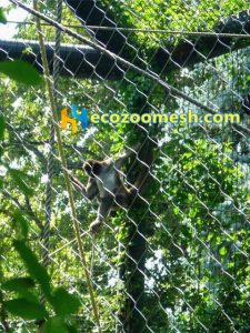 Monkey Enclosure Mesh | Zoo Mesh Supplier-Hengyi