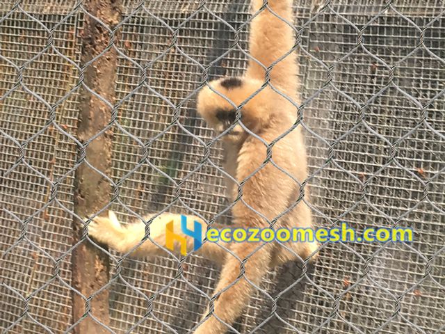 Monkey Enclosure Mesh | Zoo Mesh Supplier-Hengyi