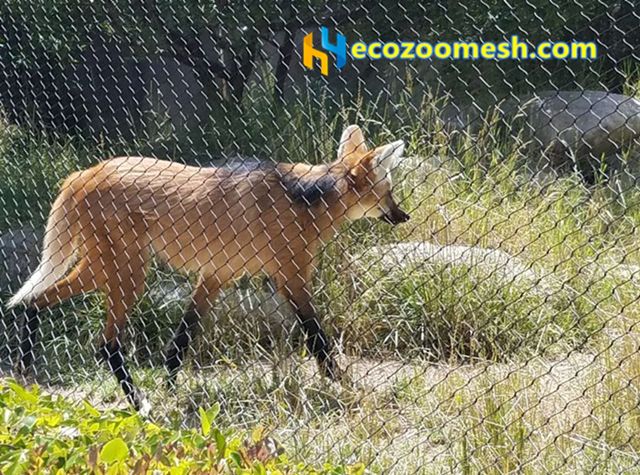 stainless steel wire cable mesh animals-stainless steel wire cable mesh