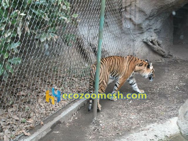 Tiger Fences Mesh | Zoo Mesh Supplier-Hengyi