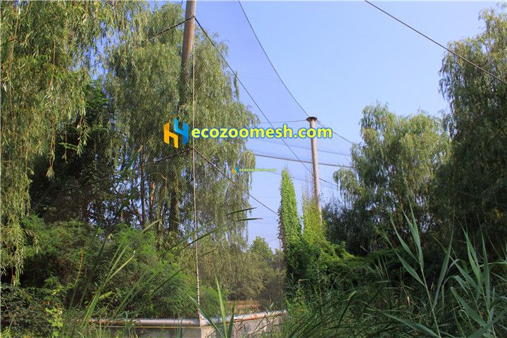 Bird Netting Fence, Bird Garden Roof Net, zoo stainless steel woven mesh