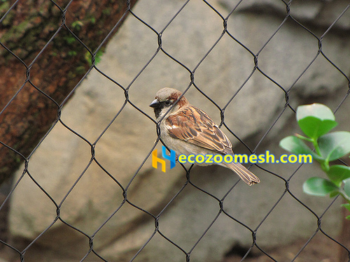 Black stainless steel rope mesh | zoo mesh supplier, animals mesh, bird ...