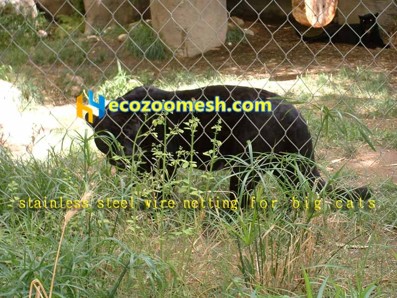 stainless steel wire netting for big cats, large cat stainless steel ...