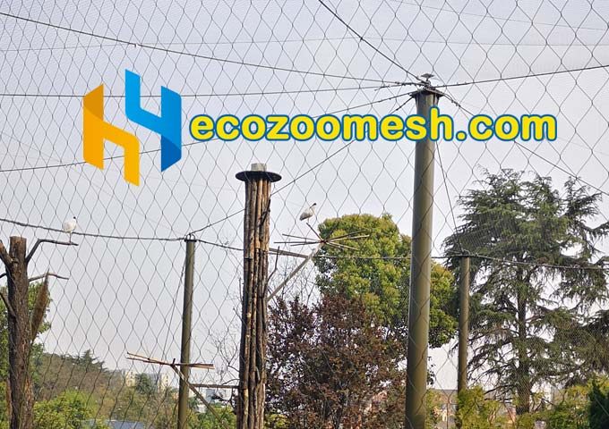 Hand-Woven Zoo Wire Mesh-Parrots Aviary | Zoo Mesh Supplier-Hengyi