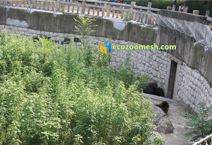 giraffe exhibit, giraffe fence, giraffe cage mesh, giraffe enclosure mesh