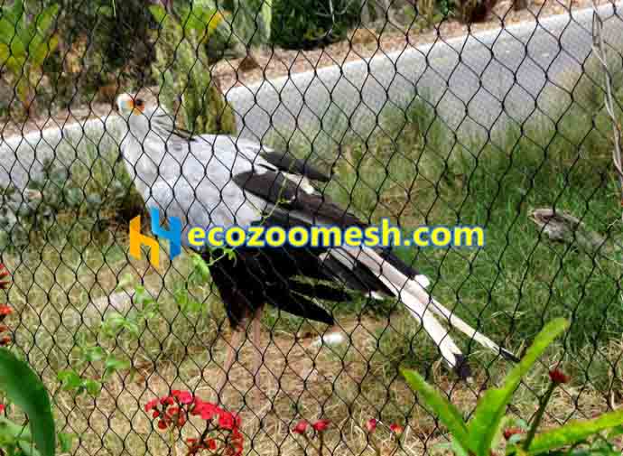 Black Stainless Steel Birds Garden Sky net, bird forest protection nets