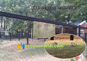 11-261Antelope wire rope fence factory direct sales, kangaroo fencing ...