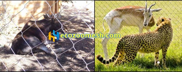 Antelope wire rope fence factory direct sales, kangaroo fencing design