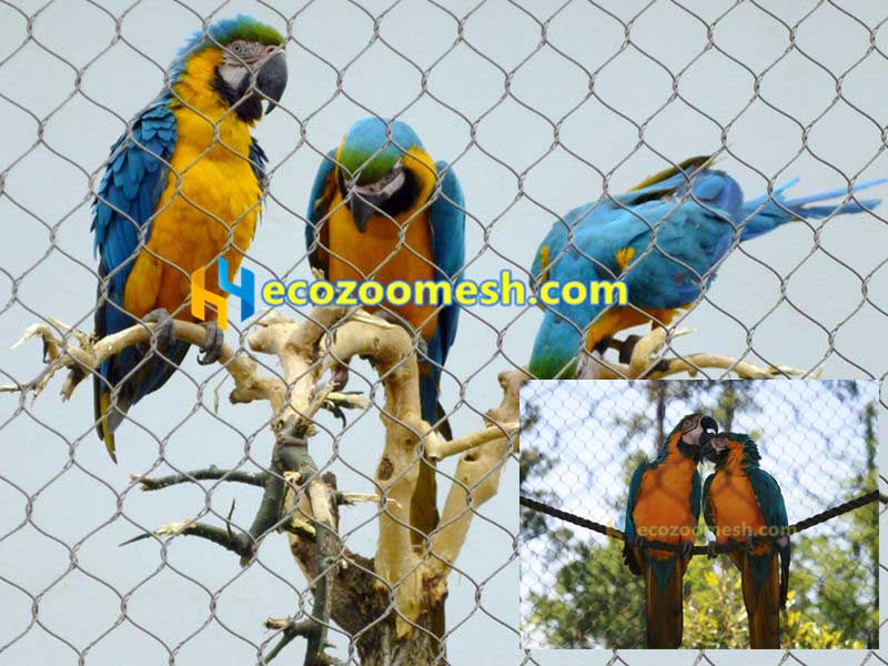 Macaw aviary design, Macaw aviary wire mesh, Parrot aviary mesh