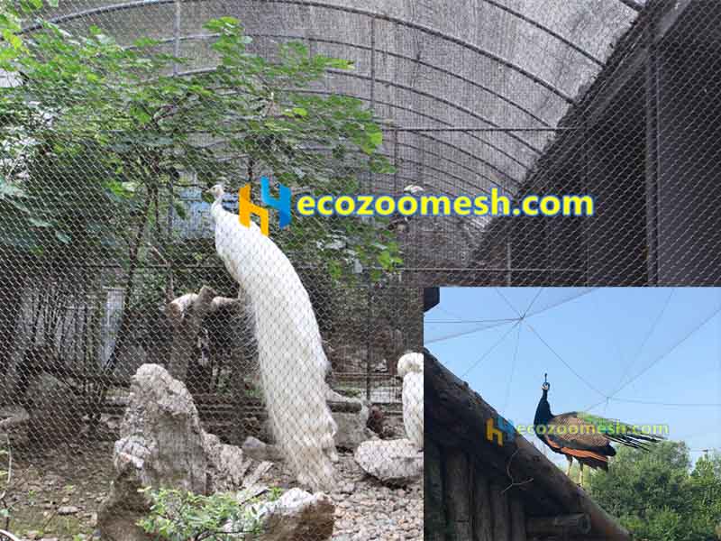 peacock exhibit aviary mesh, wire rope net peacock cage