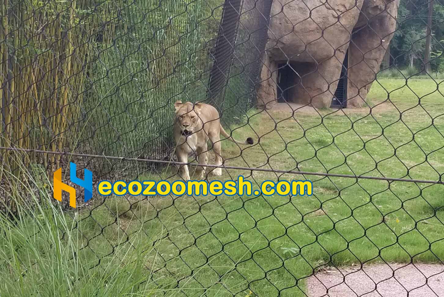 Woven Mesh Zoo Fence-ecozoomesh | Zoo Mesh Supplier-Hengyi