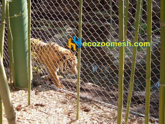 tiger fence mesh | Zoo Mesh Supplier-Hengyi