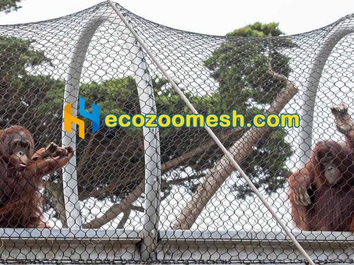 Zoo Animal Barrier Netting | Zoo Mesh Supplier-Hengyi