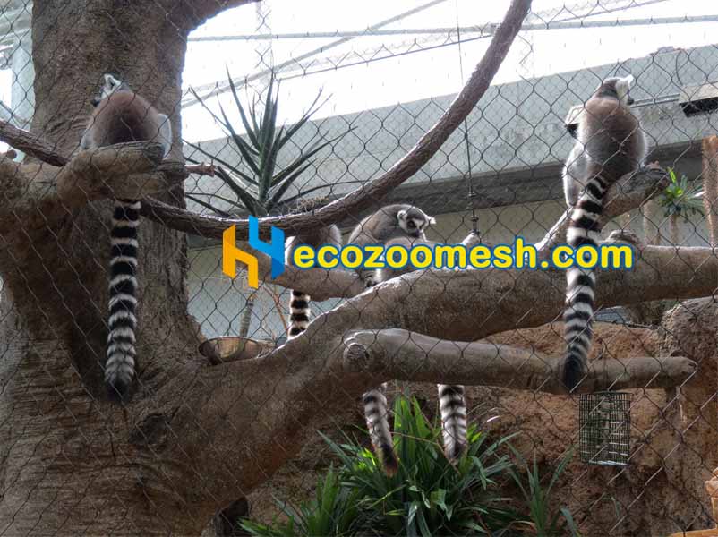 Lemur Exhibit Fence Netting | Zoo Mesh Supplier-Hengyi