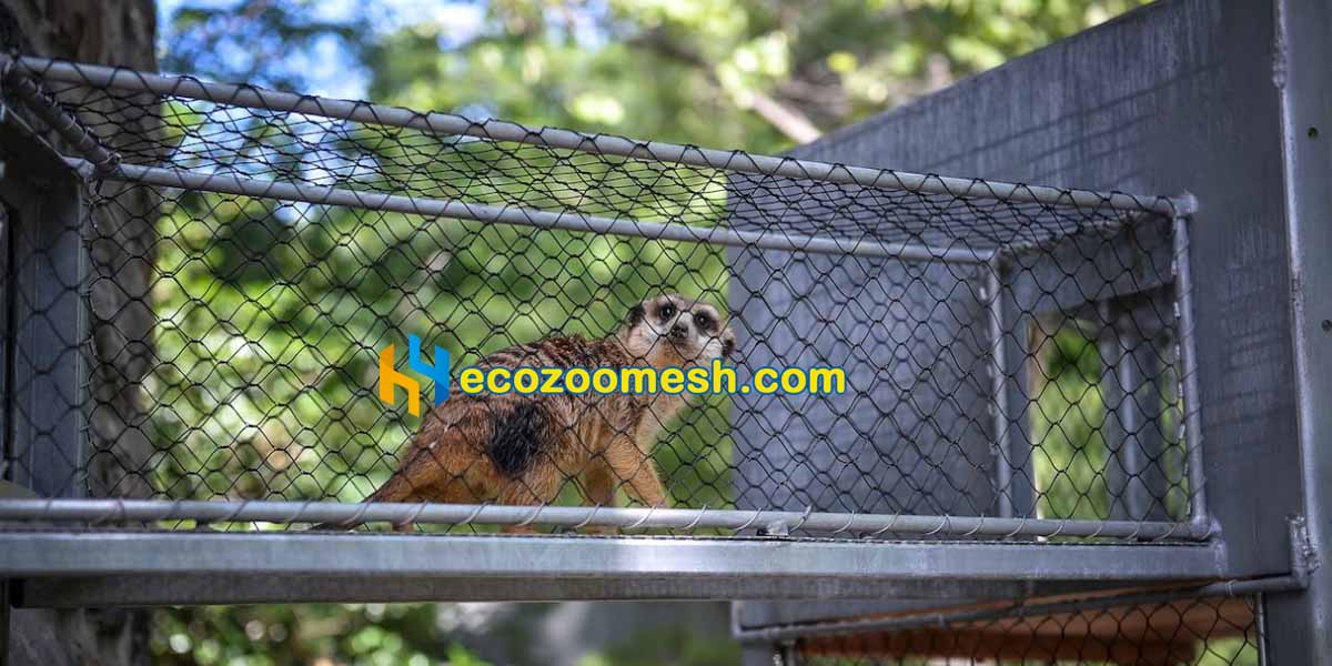 Meerkat Enclosure Mesh | Zoo Mesh Supplier-Hengyi