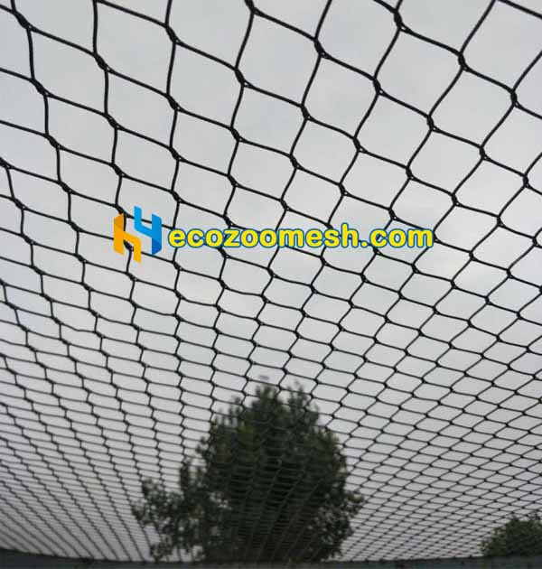 Safe Steel Metal Mesh for Aviary | Zoo Mesh Supplier-Hengyi